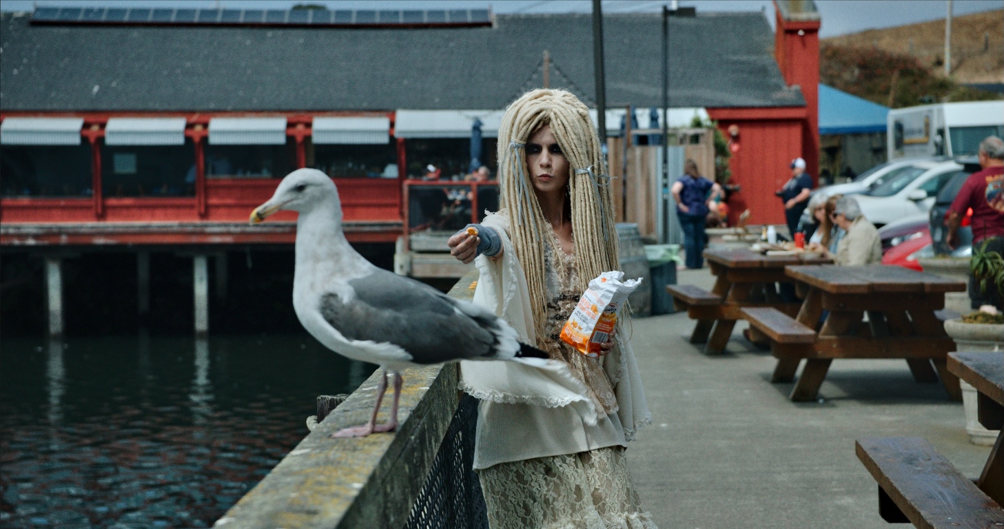 Creature Features | Horror & Sci-Fi Movies With Wonderful Guests.