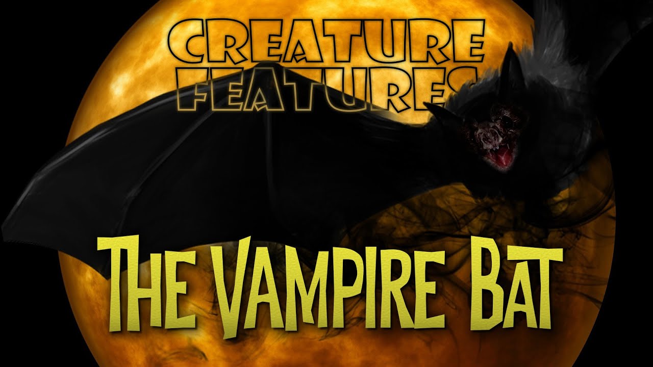 This Saturday on Creature Features: – Creature Features